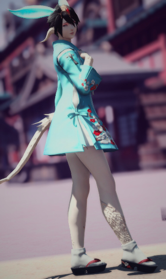 Carbuncle's Suikan | Eorzea Collection