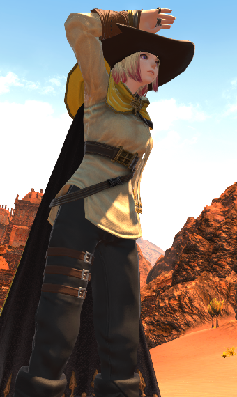 Desert Hunter | Eorzea Collection
