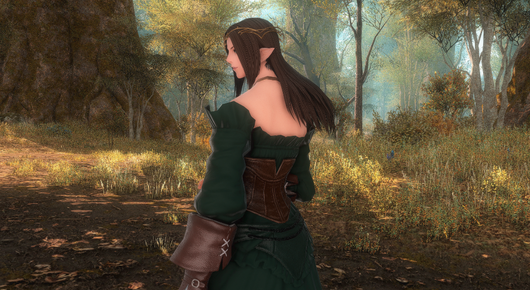 Lothlorien Healer (lotr) | Eorzea Collection
